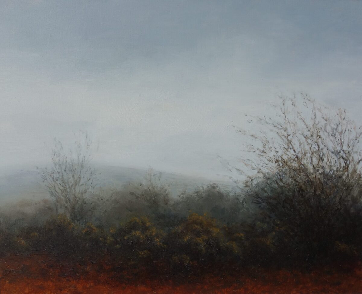 Artists - Devon Artist Network