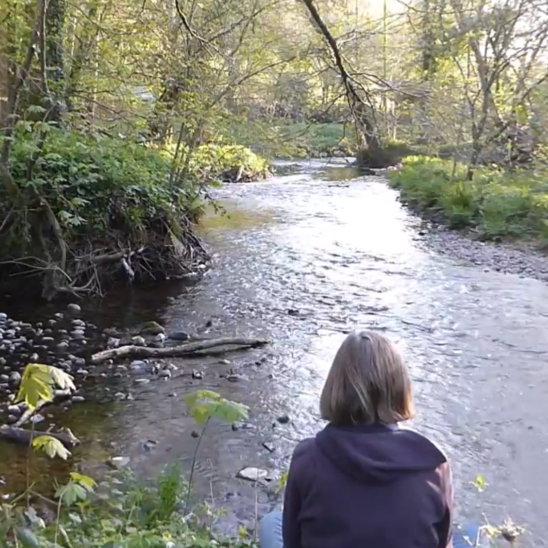 Artists - Devon Artist Network