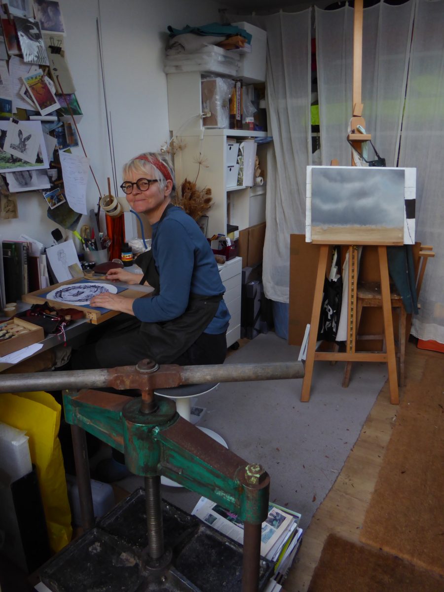 Artists - Devon Artist Network