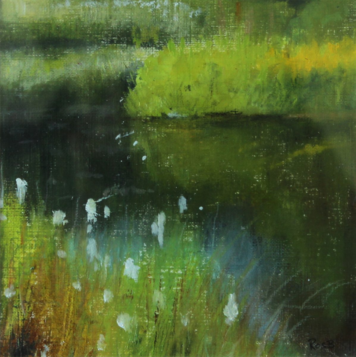 Rosemary Bonney - Devon Artist Network