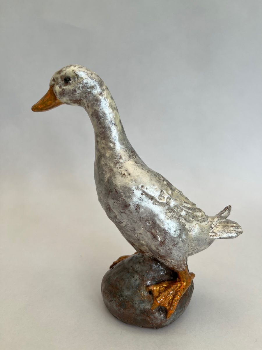 Artists - Devon Artist Network