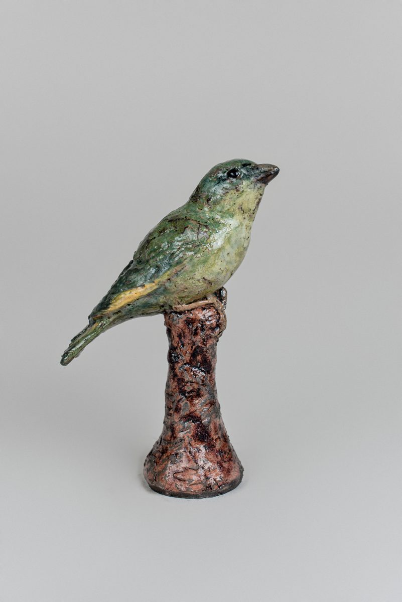 Artists - Devon Artist Network