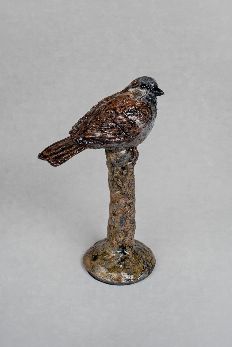 Artists - Devon Artist Network