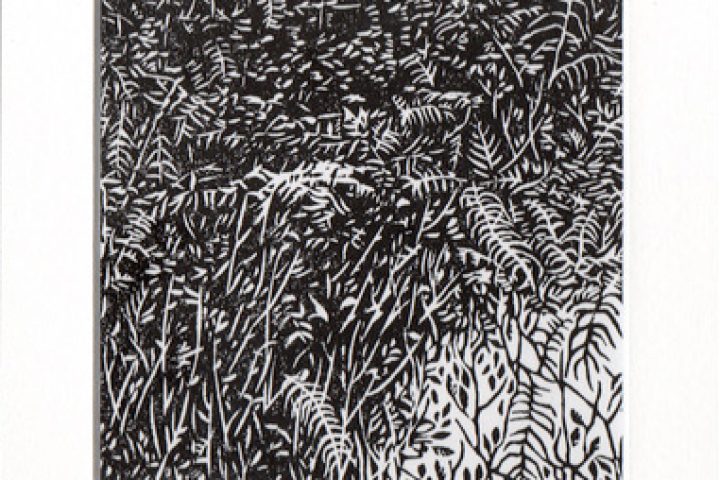 Gifts made in Devon - Devon Artist Network