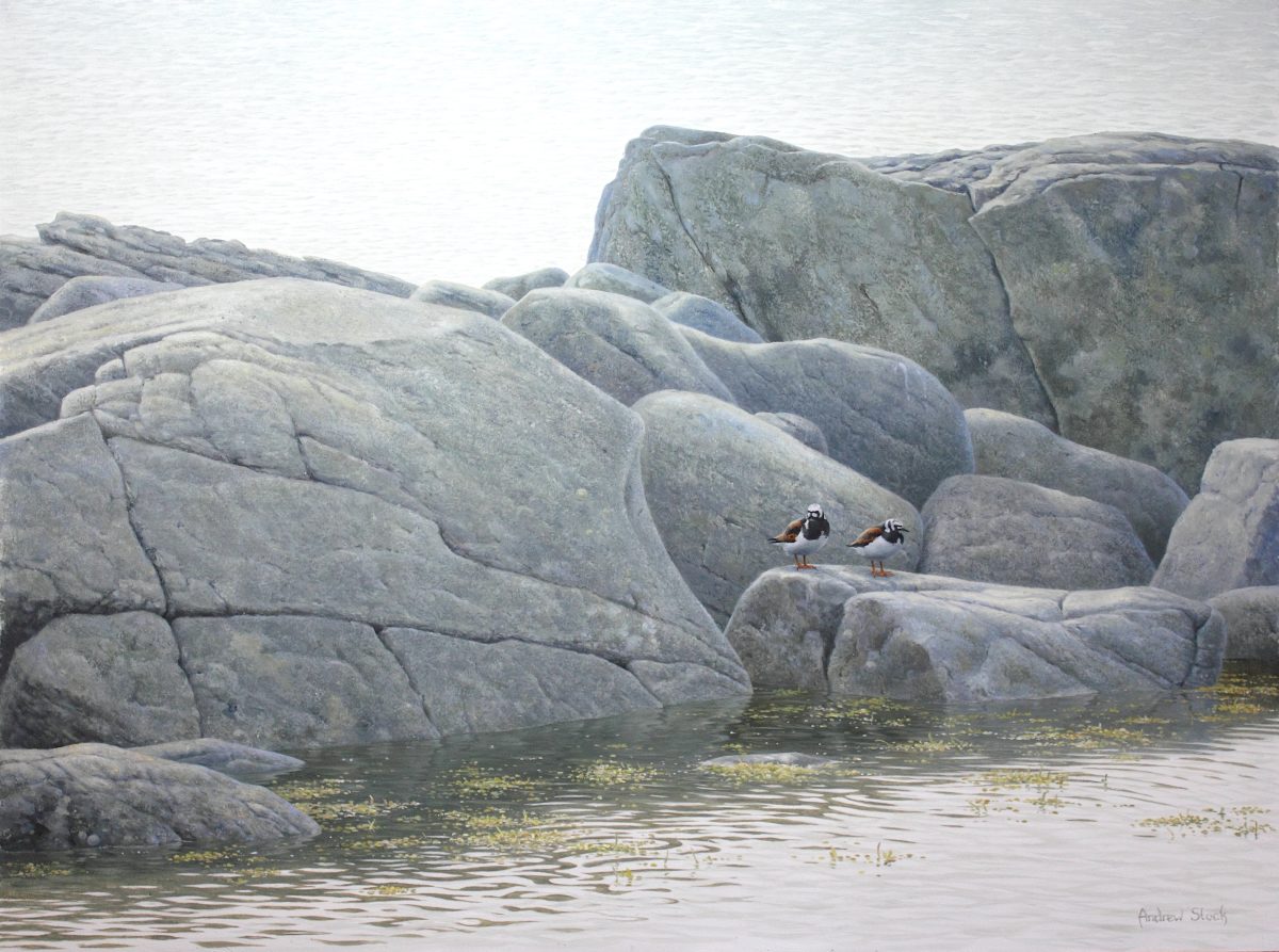 Artists - Devon Artist Network