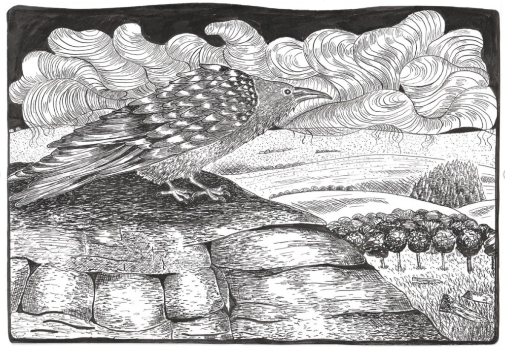 February Newsletter - Devon Artist Network