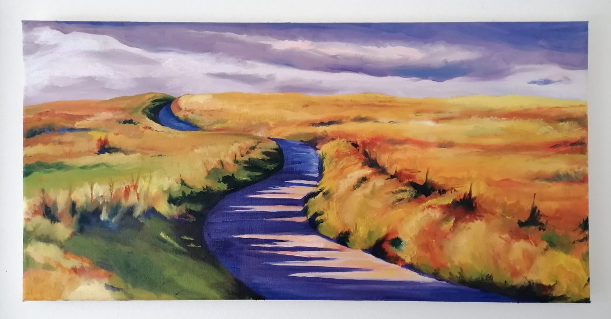 Artists - Devon Artist Network