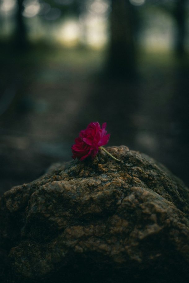 Workshops at Delamore Arts - A Walk Through Art - Mindful Photography ...