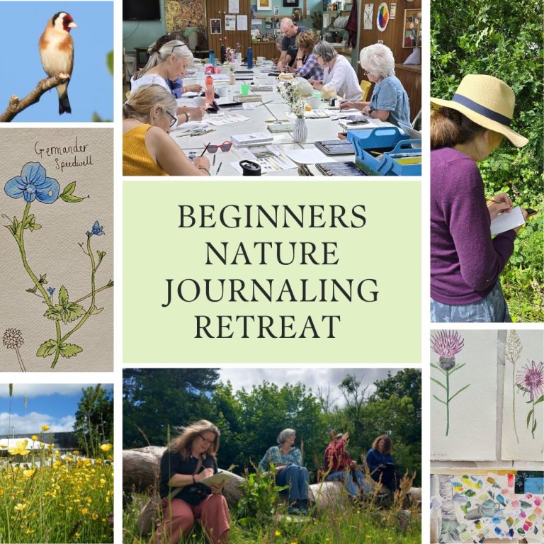 Total Beginners Nature Journaling and Wellness Retreat 2026 - With Alex ...