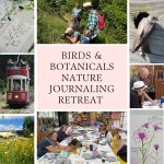 Nature Journaling and Wellness Retreat 2026 - Birds & Botanicals ...